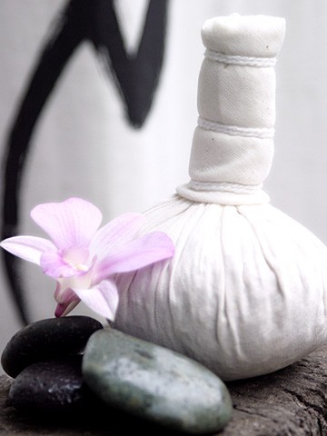 Herbal Poultices - BranwensDreams.com [Official Home]